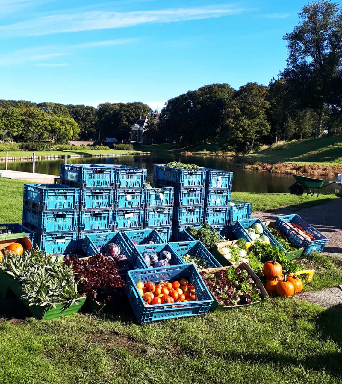 de Garden geeft groente aan de voedselbank - de Garden
